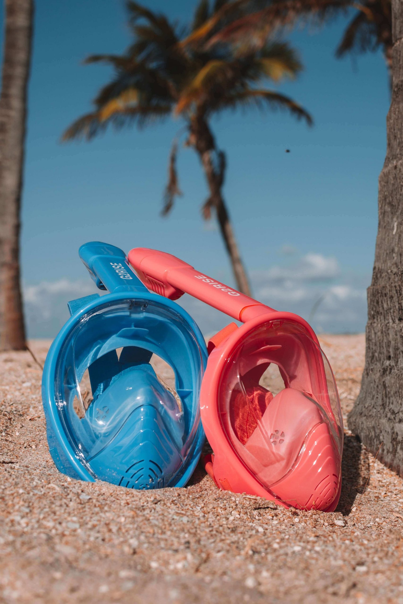 Snorkeling Equipment: A Beginner's Guide · One Wild Thing